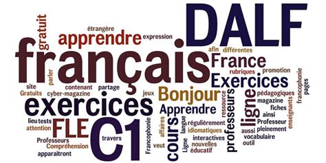 French Delf Dalf Tcf Tef Exam Classes In Delhi