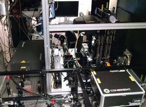 Optogenetics Optogenetics Research Drives New Laser Technologies Laser Focus World