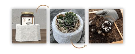 Top 5 Plant Based Packaging Startups Greyb