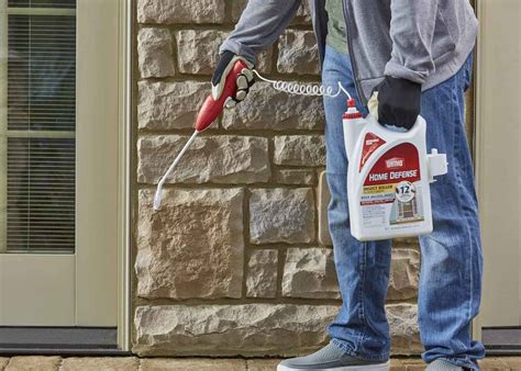 Best Cockroach Killer To End Roach Infestation— Buying Guide