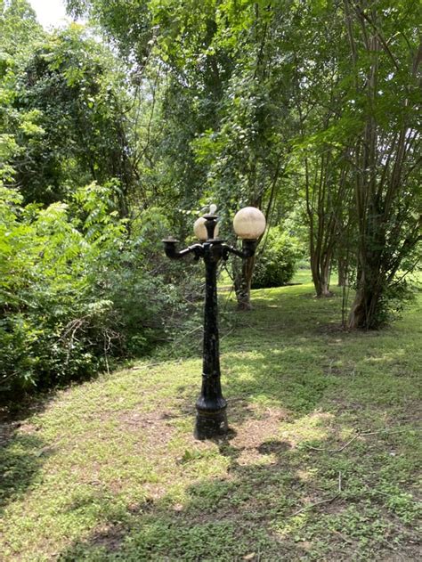 Triangle Shaped Pool Outside Abandoned Mansion Rabandoned