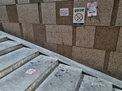 흡연충 씨발아 ㅋㅋㅋㅋ 포텐 터짐 최신순 에펨코리아