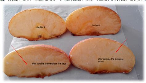 Trehalose Introduction