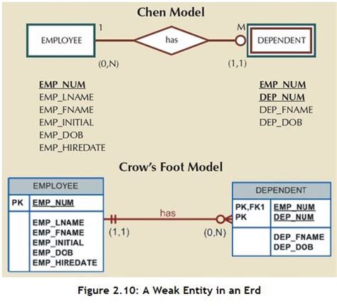 Database Management Exam 1 Flashcards Quizlet