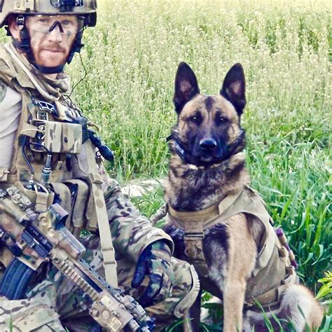 91 Best Australian Sasr Images On Pholder Military Porn Spec Ops