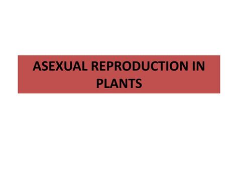 Reproduction In Plants Pptx