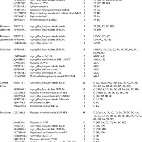 Evolutionary Relationships Of 24 Fungus Taxonomy From Seven Sites Of