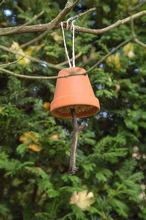 Vogelfutter Selber Machen Vogelfutterhaus Selber Bauen Vogelfutter