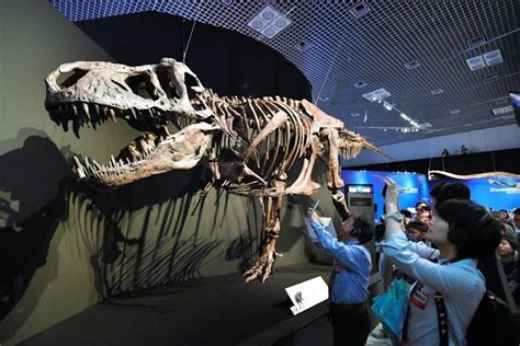 Bone Cancer Skeleton