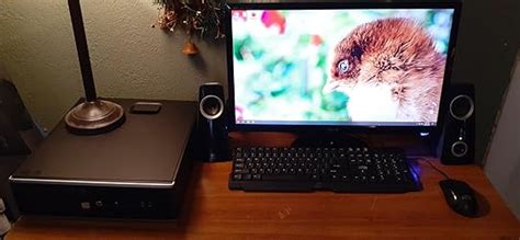 Amazon Com Hp Flagship Pro Desktop Computer Core I Up To Ghz