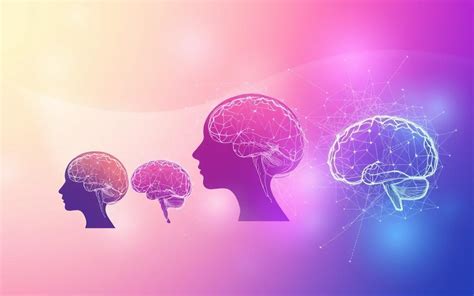 When Does Brain Stop Developing 9 Stages Of Brain Growth