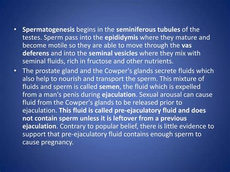 Male Reproductive Physiology Ppt