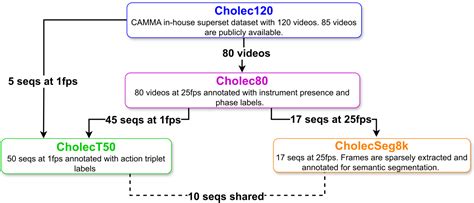 论文评述 Cholecinstanceseg A Tool Instance Segmentation Dataset For Laparoscopic Surgery