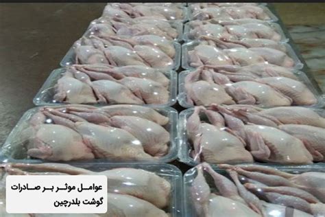 صادرات گوشت بلدرچین از ابتدا تا انتها