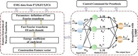 Neural Network For Signal Processing Adapted From Medical And