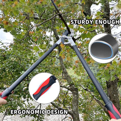 Branch Cutter Lopper Heavy Duty Tree Clippers With Compound Action