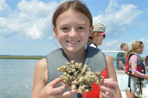 Public Beaches In Virginia Virginia Institute Of Marine Science