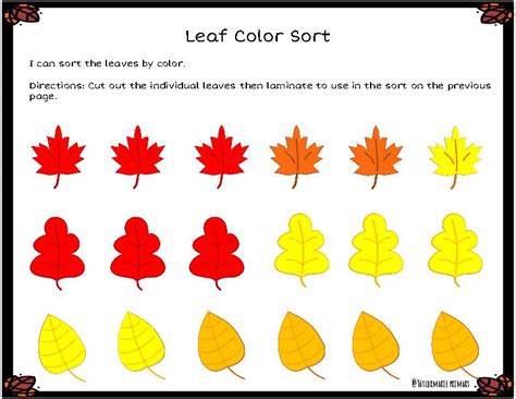 Fall Leaf Color Sort File Folder Activity Classful