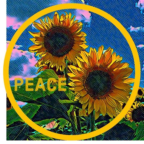 Sunflower Peace — Mike Barzacchini