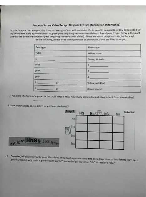 Unlocking The Secrets Of Human Inheritance Answer Key Revealed