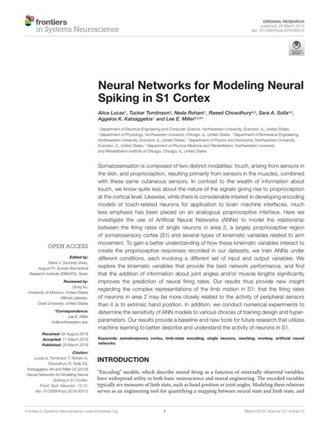 Pdf Neural Networks For Modeling Neural Spiking In S1 Corteximage1tifimage2tifimage3tif