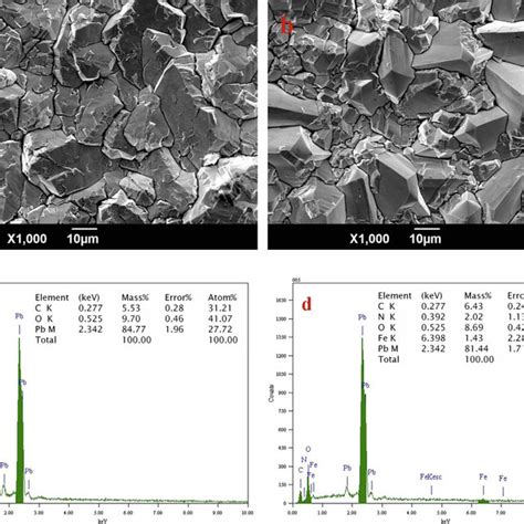 Sem Photographs And Eds Result Of Pbo 2 Electrodes A C Fecn Pbo 2