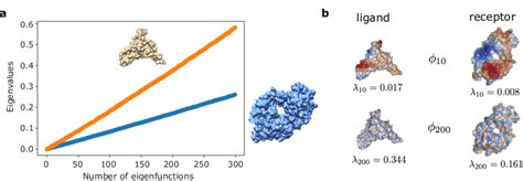 Figure A1 A Weyls Asymptotic Law Where The Protein With Larger