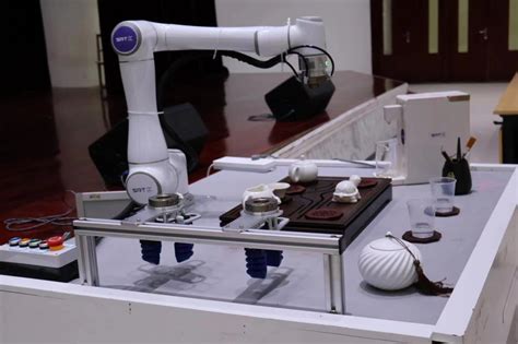 电子信息与自动化学院成功举办 软体机器人及应用”主题报告会 电子信息与自动化学院