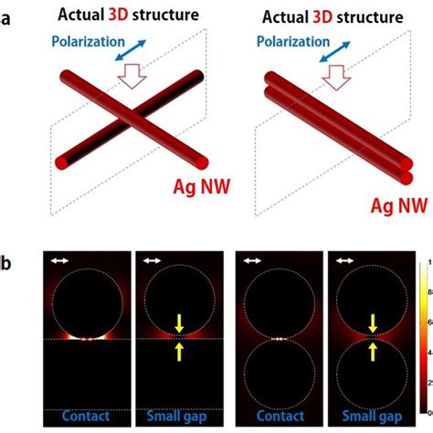 Finite Difference Time Domain Fdtd Simulation At The Junction Of Download Scientific Diagram