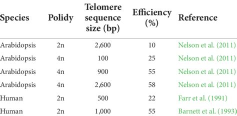 Tmct Frequency Resulted From Divers Length Telomeric Sequence