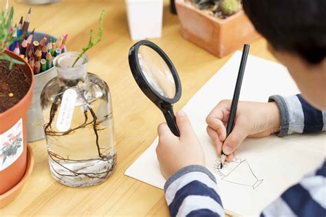 Observational Drawing Skills