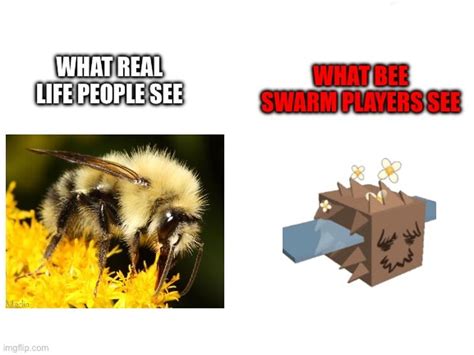 Real Life Vs Bee Swarm Fandom