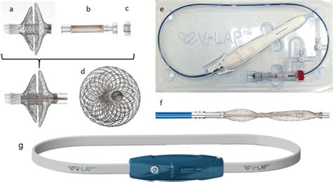 Design Of The V Lap™ Implant A Braided Anchor B Tube Encasing The