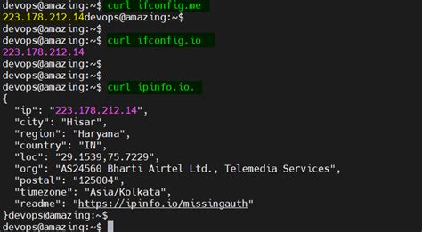 How To Find Public Ip Address In Linux From Command Line