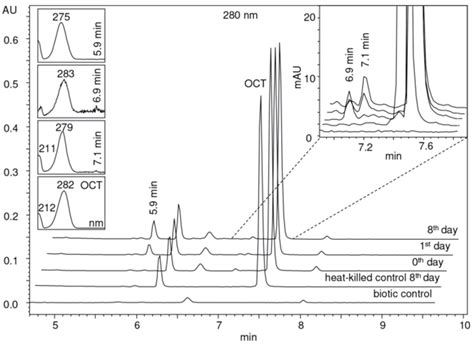 Biodegradability Of Dental Care Antimicrobial Agents Chlorhexidine And