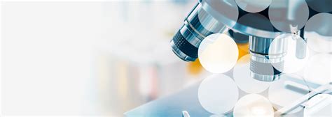 How To Interpret Stains Cldn182