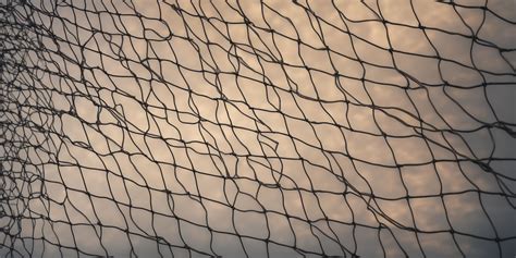 Smart Allocation Strategies For Your Emergency Fund