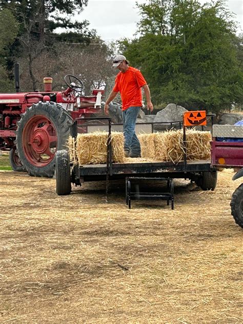 Rickey Ranch Pumpkin Patch Granite Bay Ca