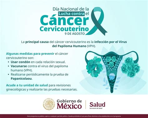 Día De La Lucha Contra El Cáncer Cervicouterino Un Llamado A La Prevención