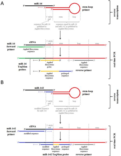A Novel Assay For Exosomal And Cell Free MiRNA Isolation And Quantification Exosome RNA