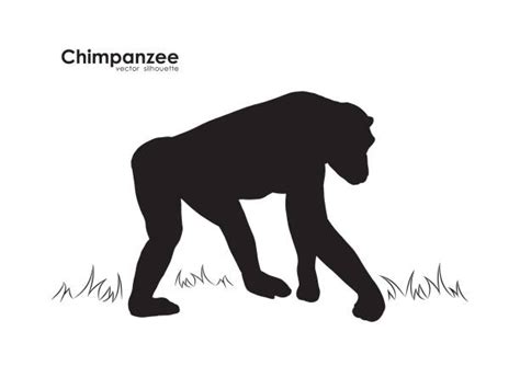Cute Chimpanzee Silhouettes Illustrations Royalty Free Vector Graphics