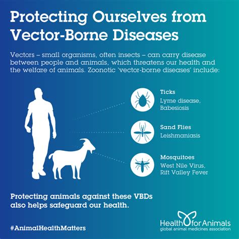 Vector Borne Diseases Healthforanimals