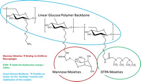 99mtc Tc Tilmanocept Lymphoseek Structure And Functional Elements