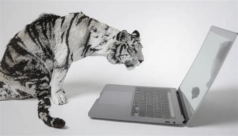 How To Remove Remote Management Mdm From M1 Macbook Without A Password By Perbhat Kumar Medium