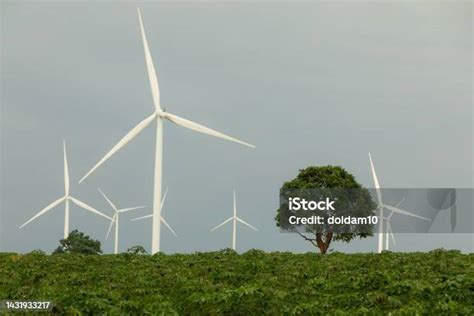 재생 가능 에너지 원 녹색 에너지의 개념 혁신적인 풍력 터빈 지속 가능한 전기 공급원은 지구 환경 보전입니다 생태계를 보존하는 풍력 에너지 기술 0명에 대한 스톡 사진 및