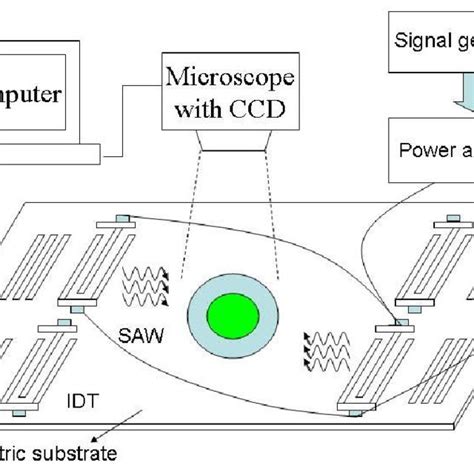 Experimental Setup For Drop To Drop Microextraction Enhanced By Two Download Scientific Diagram