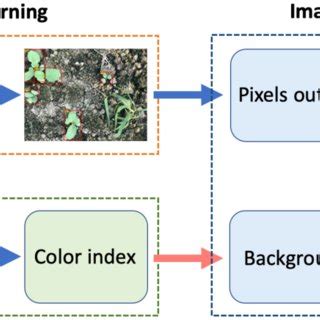PDF Weed Identification Using Deep Learning And Image Processing In