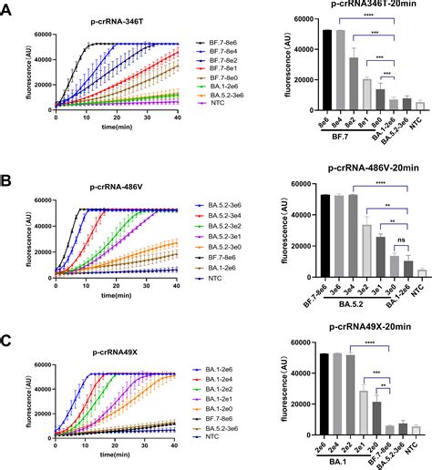 A Photocontrolled One Pot Isothermal Amplification And Crispr Cas12a