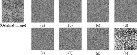 Bitplane Decomposition Of ‘grass Where Msb Plane Is Significant