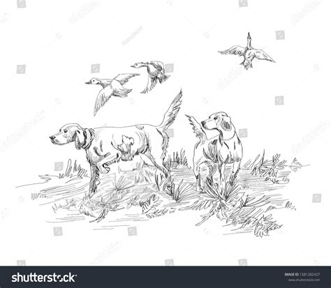 Hunting Sketch Stock Vectors Images And Vector Art Shutterstock